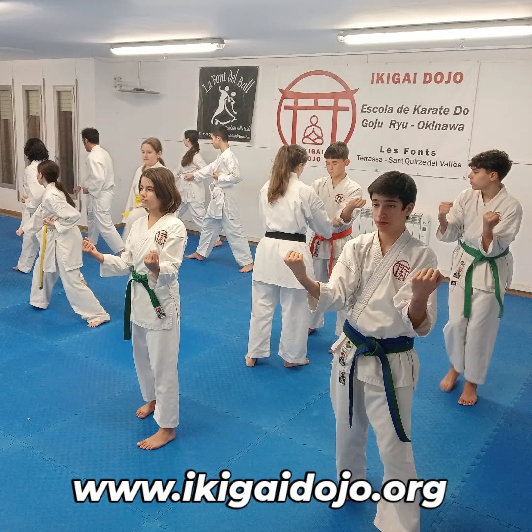 KARATE JUVENILS I ADULTS - Ikigai Dojo